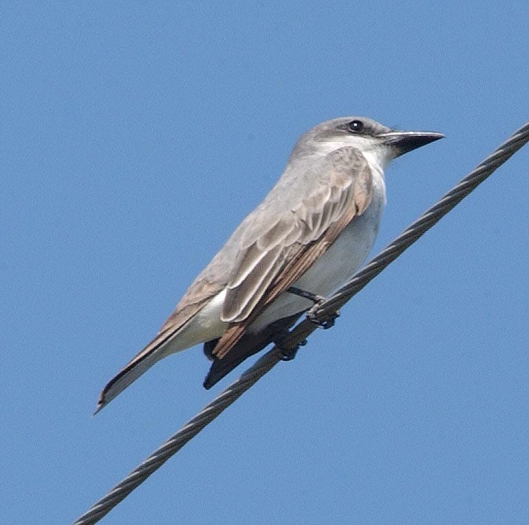 November, South Florida
